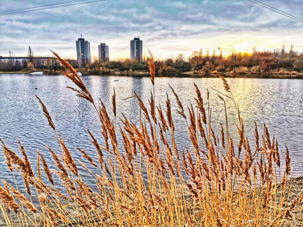 Geschichte und Beschreibung von Prohlis 🐿️ Prohlis Magazin