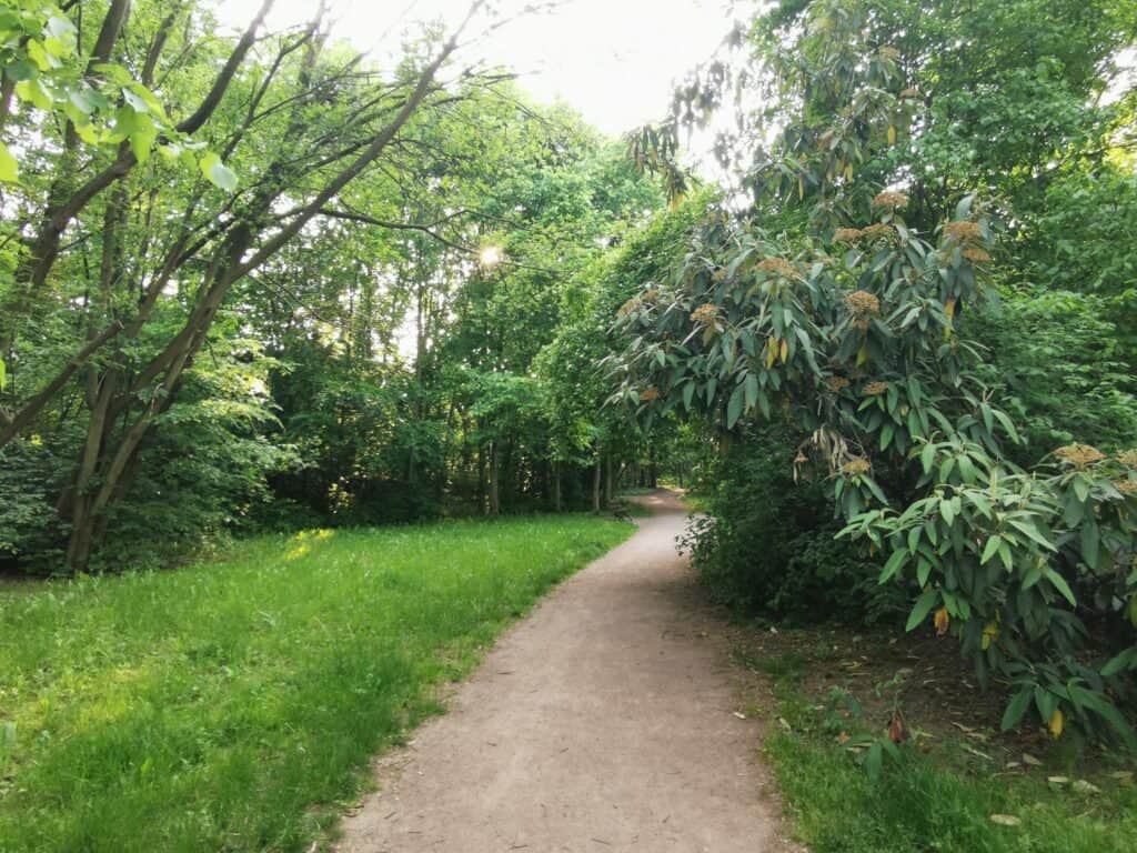 Prohliser Wald und das ehemalige Schloss ☀️ Prohlis Magazin