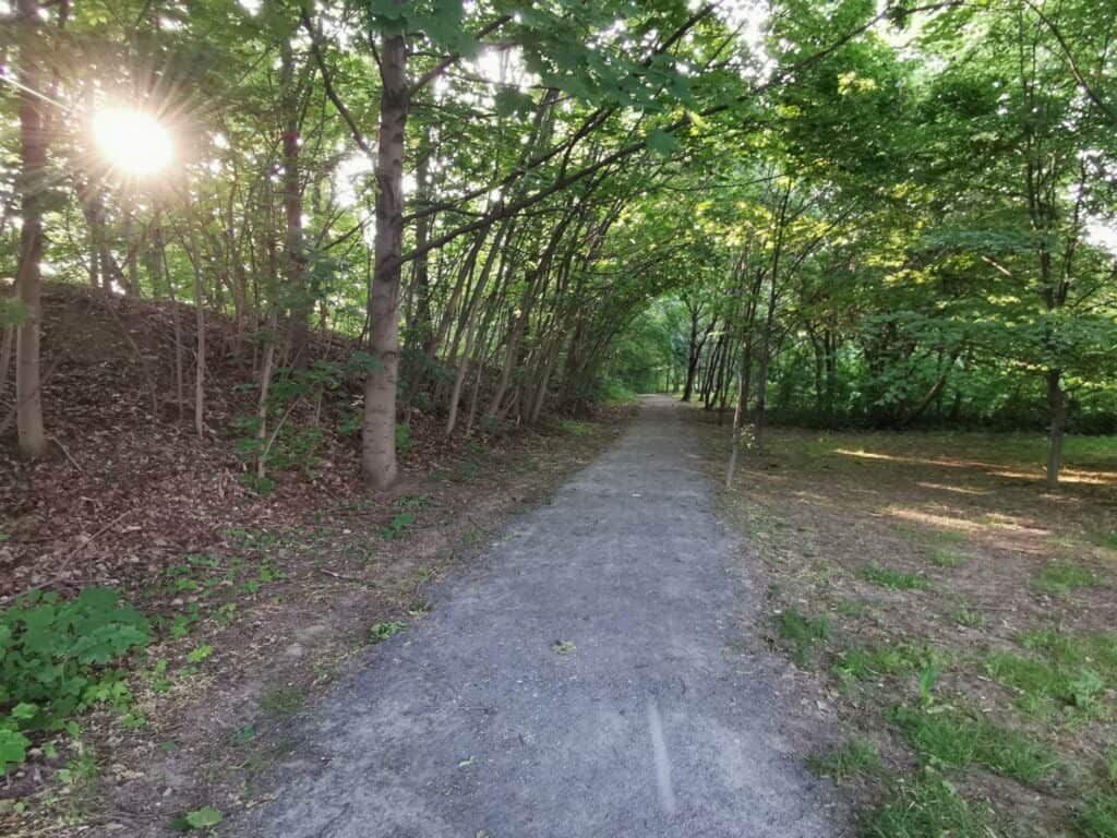 Prohliser Wald und das ehemalige Schloss ☀️ Prohlis Magazin