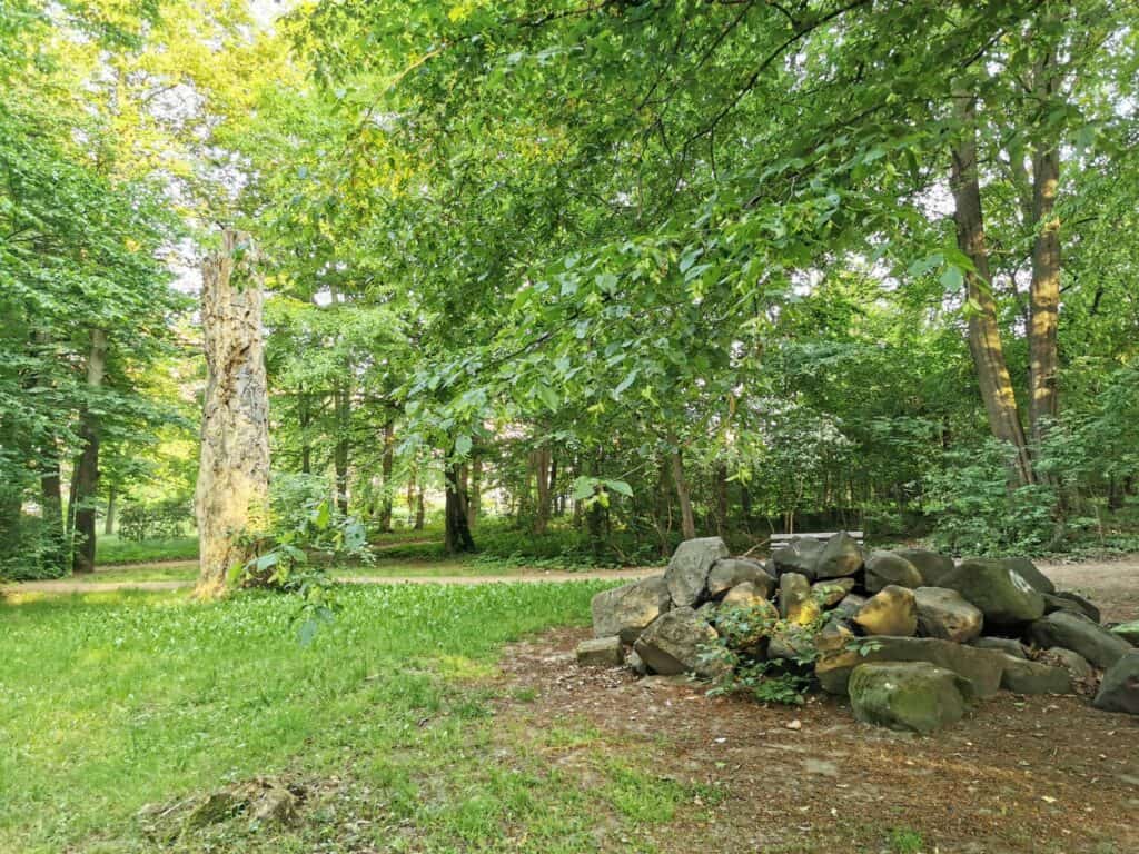 Prohliser Wald und das ehemalige Schloss ☀️ Prohlis Magazin