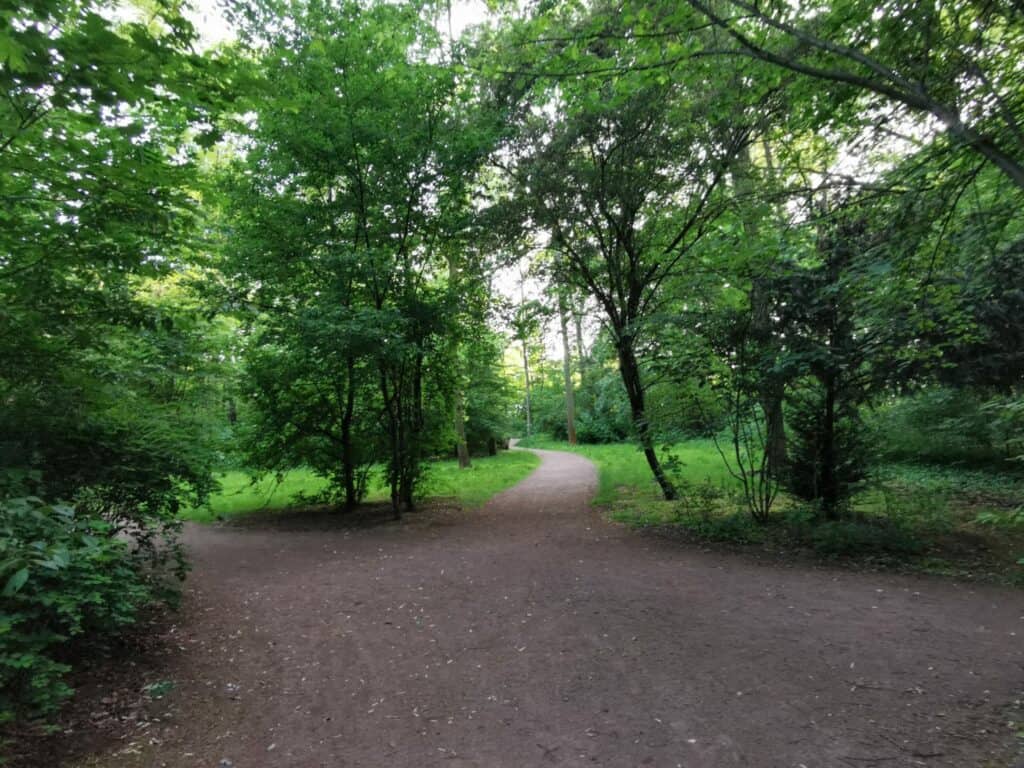 Prohliser Wald und das ehemalige Schloss ☀️ Prohlis Magazin